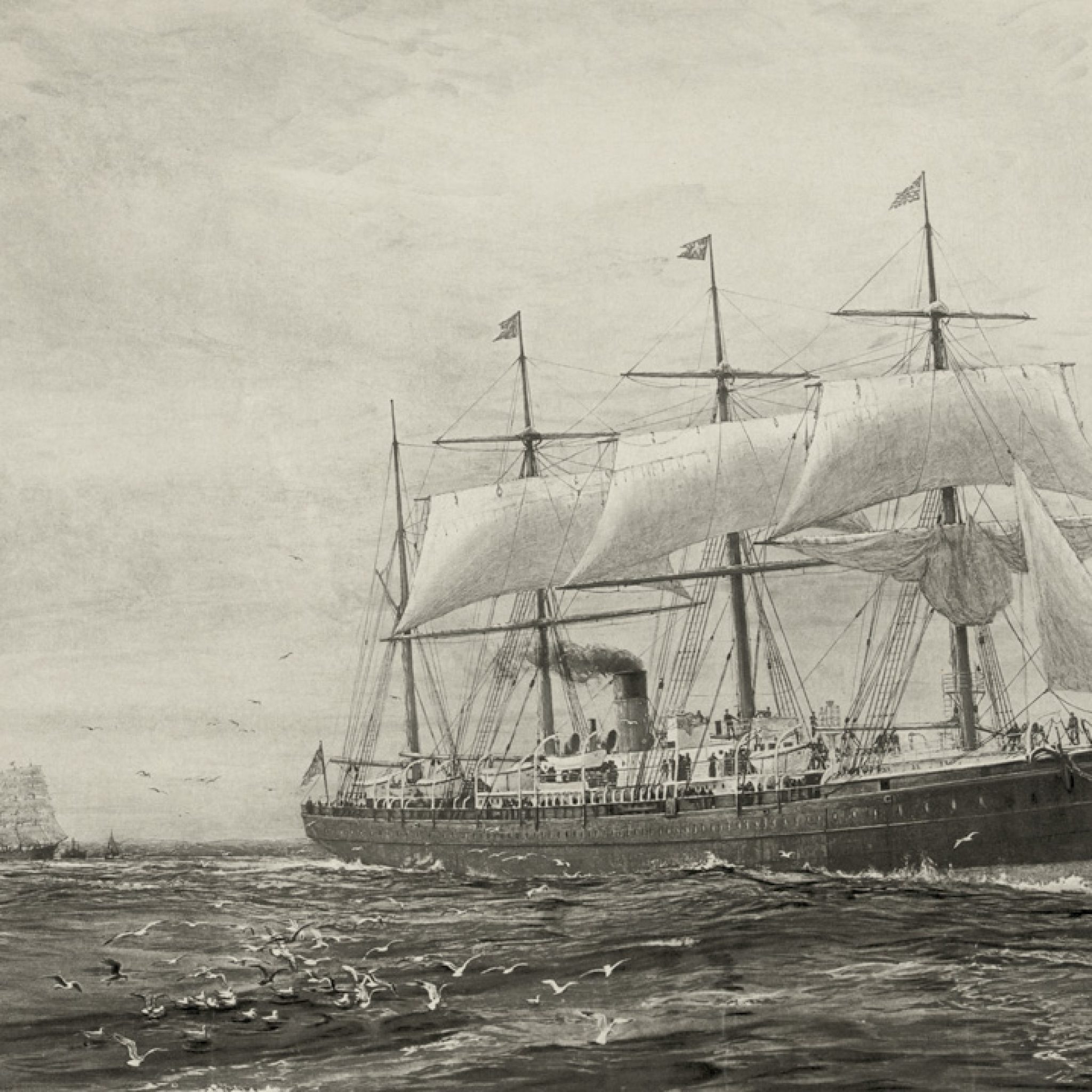 Oceanic (II) – TGOL